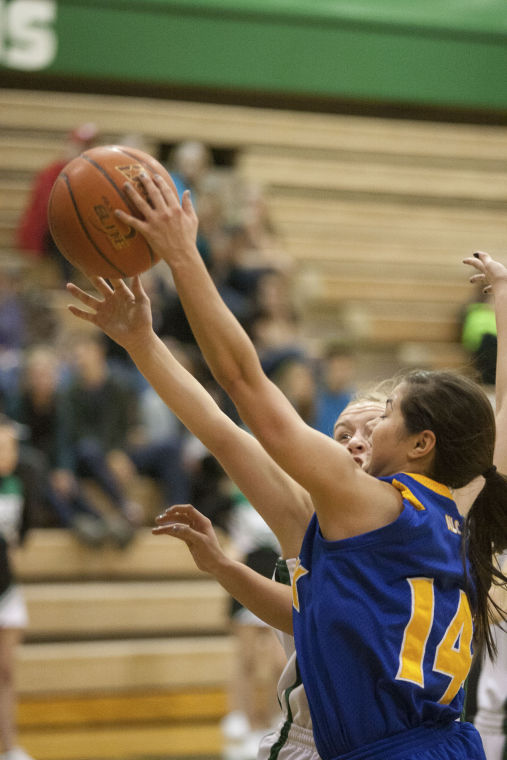 Colony Knights vs Kodiak Bears | Sports | frontiersman.com