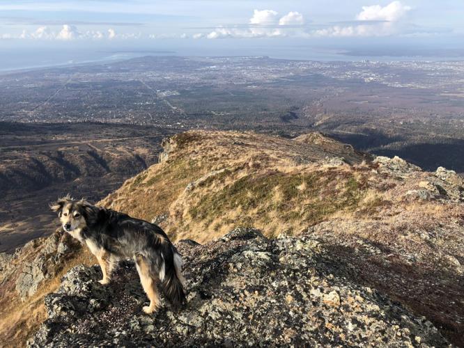 Celebrating 50 Years of Alaska’s State Parks — our 'backyard wilderness ...