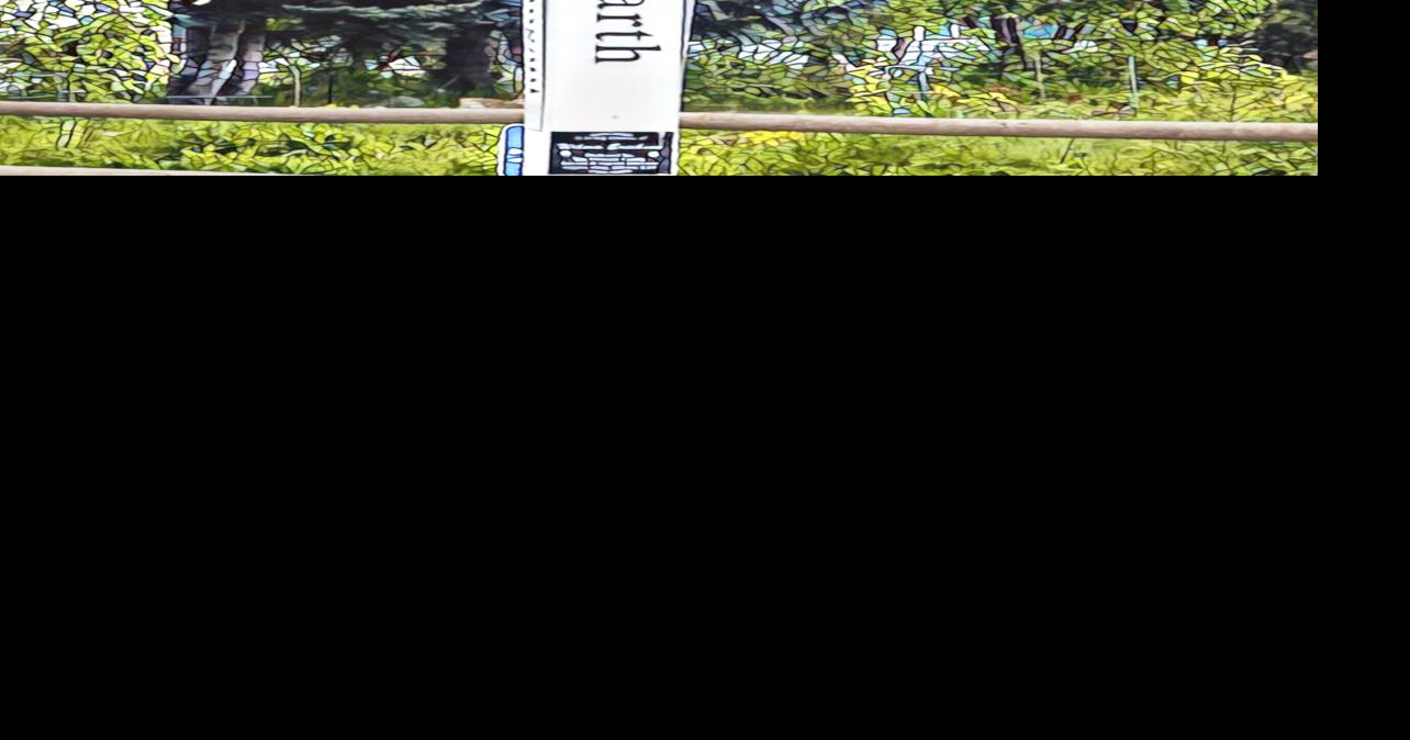 Palmer Summer Festival | Arts & Entertainment | frontiersman.com