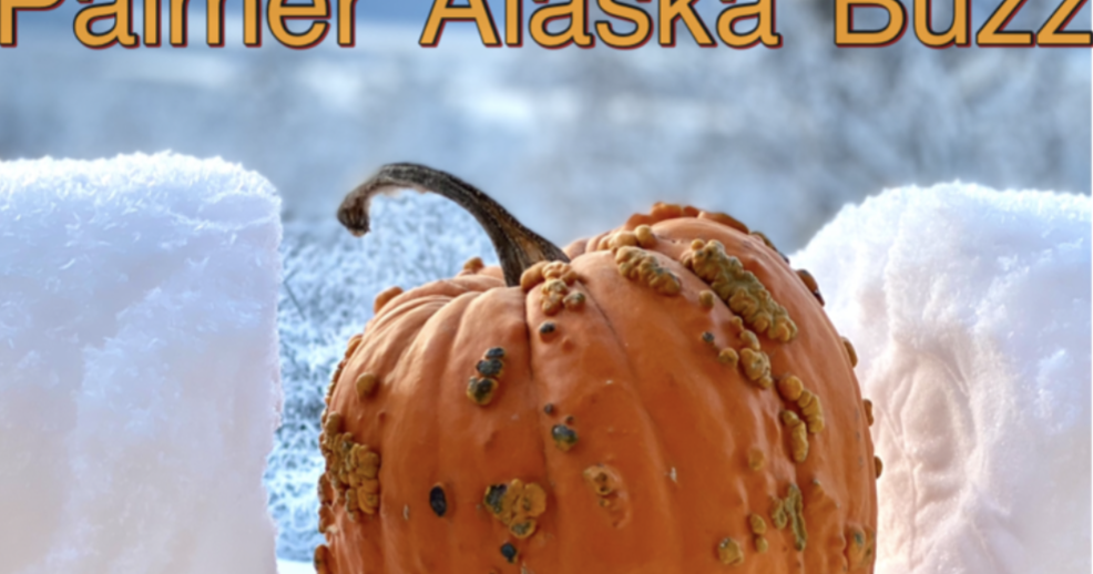 Goodbye pumpkins, hello turkeys | Valley Life | frontiersman.com