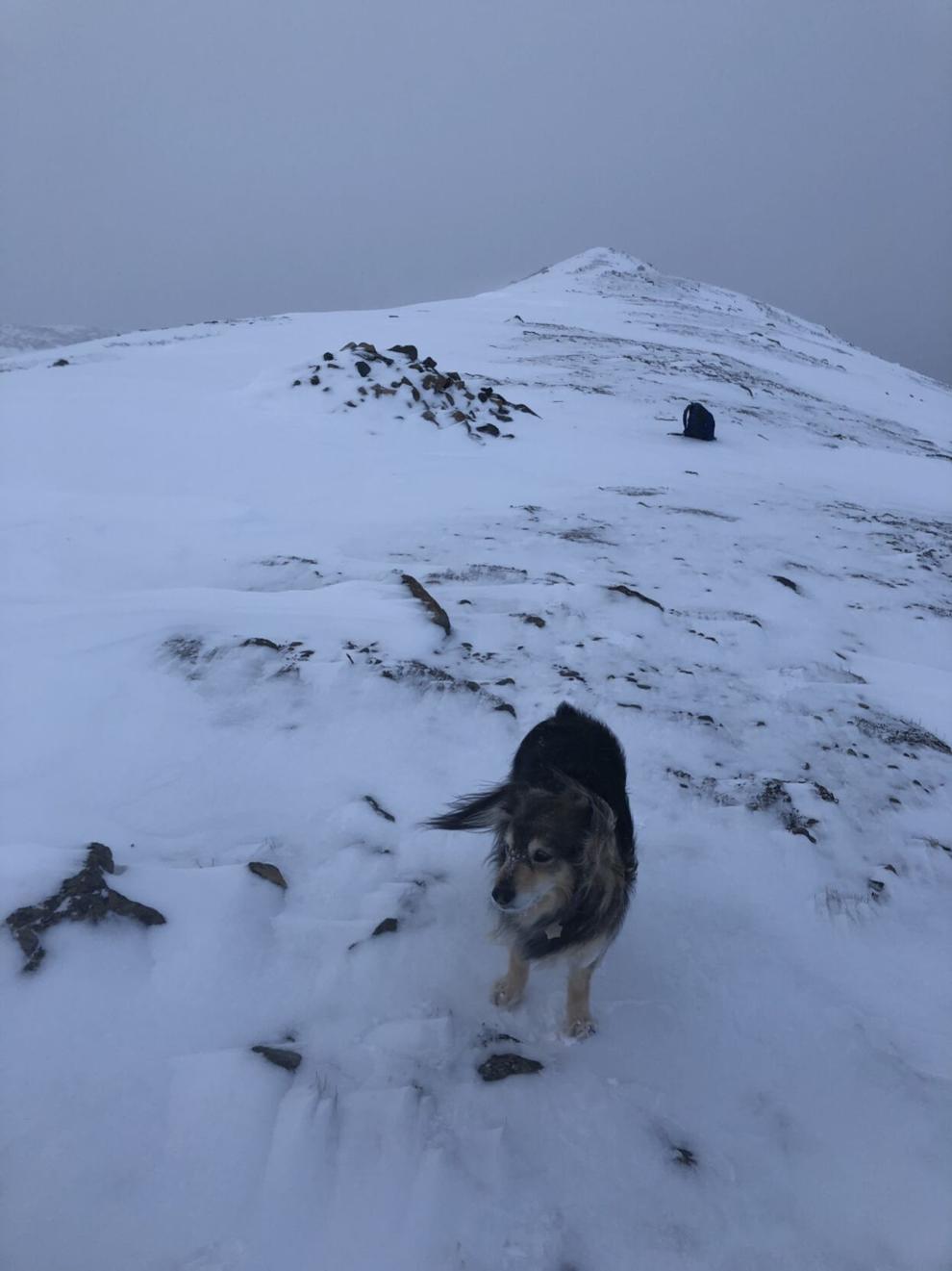 City Wilds: Keeping a Streak Alive: Last Hill Climb of the Year ...