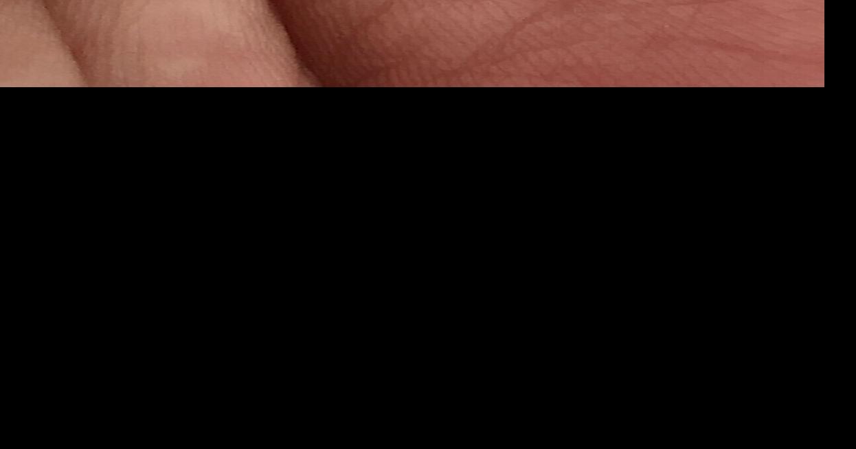 A November surprise: Encountering a snow mosquito | | frontiersman.com