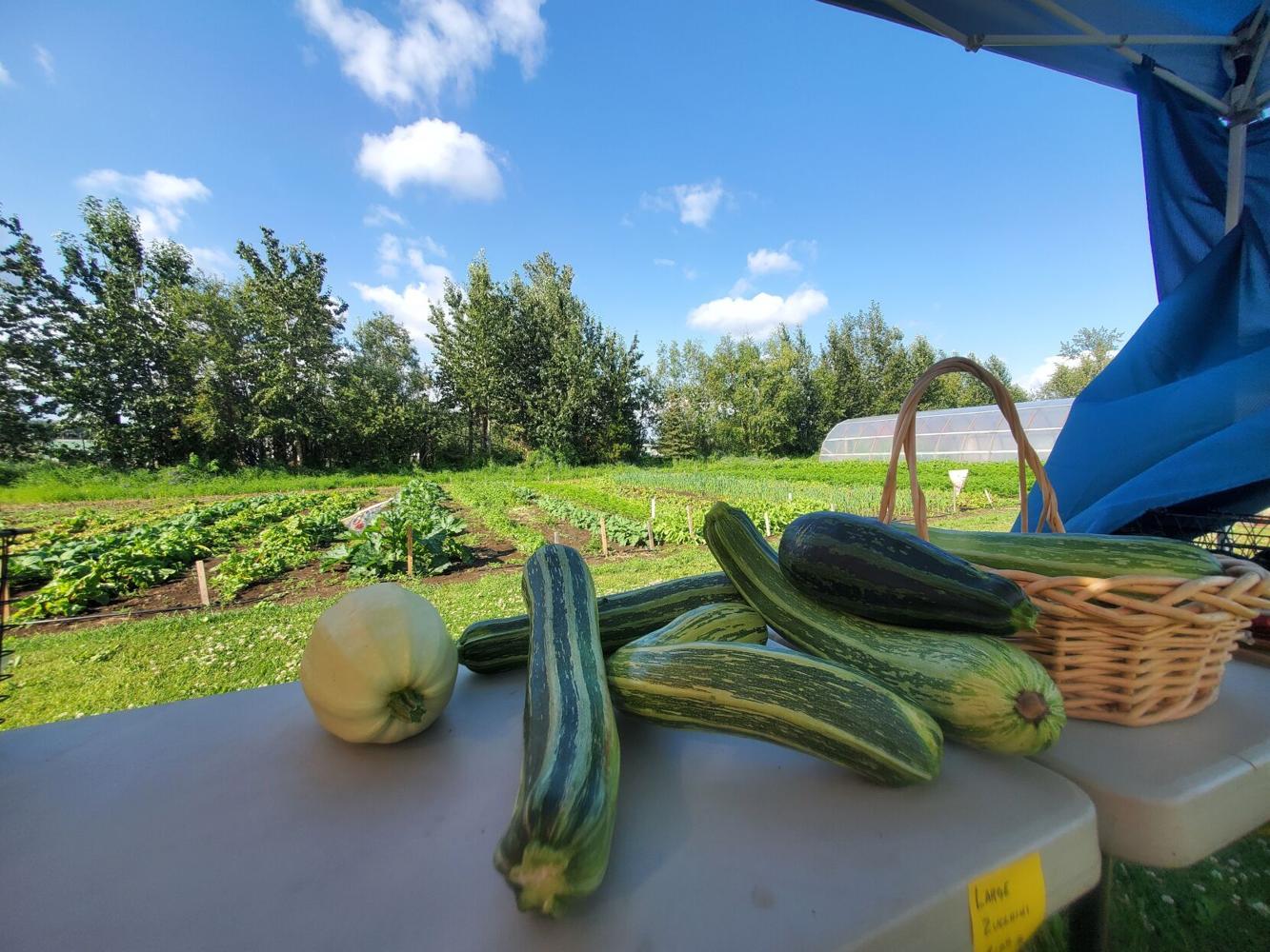 Mini-grants for small agriculture projects made to enhance food ...