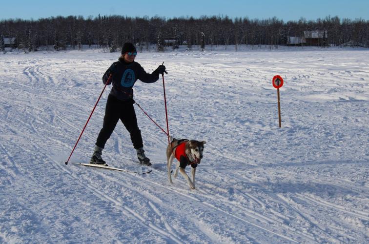 'So much fun!': Skijoring race brings dogs and skis together for fun ...