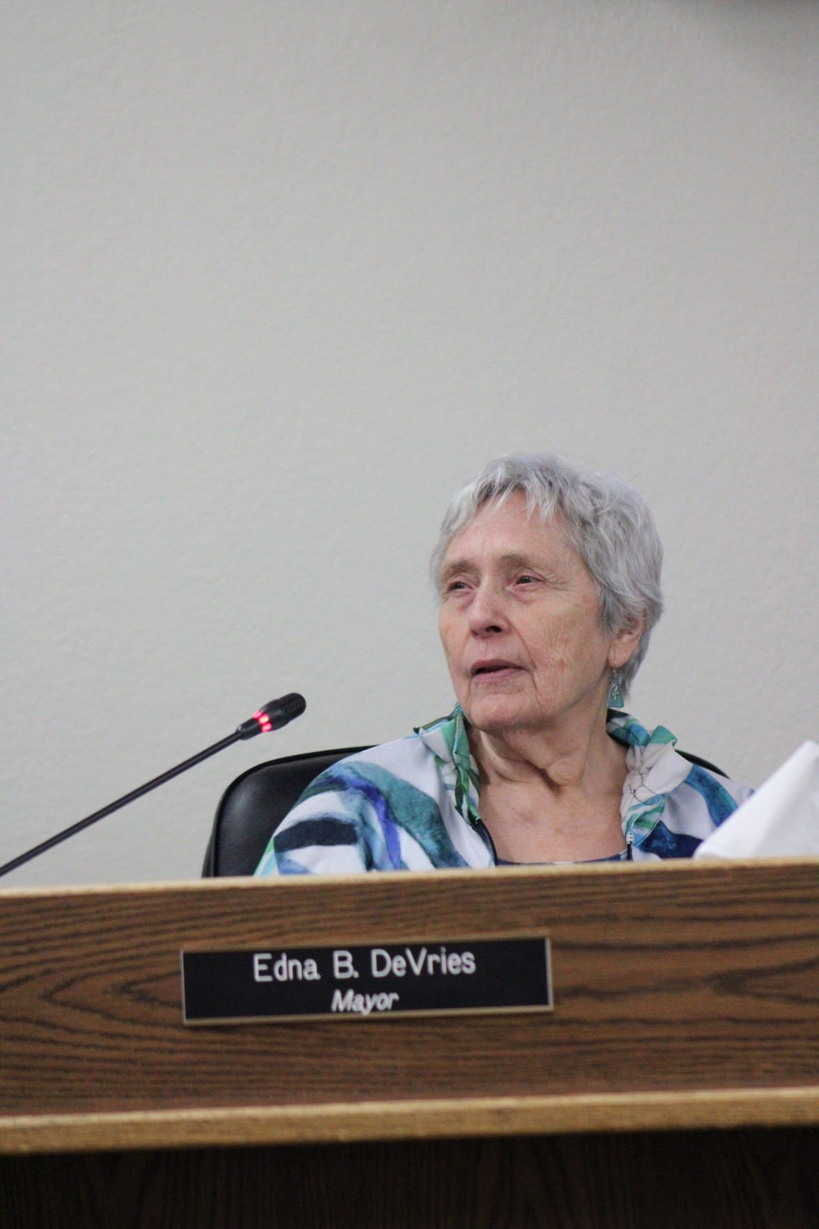 Palmer Council discusses Elections | Local News Stories | frontiersman.com