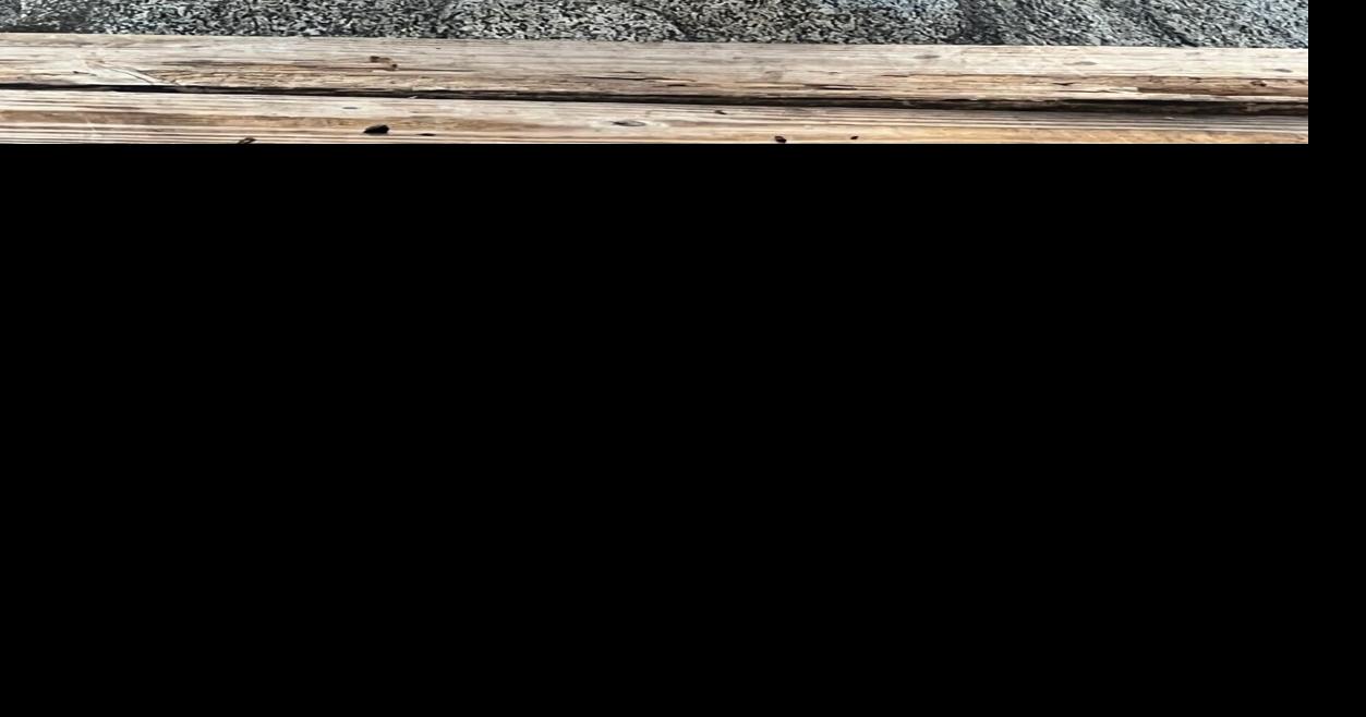 Whatever floats your goat-Goat-a-Palooza gives visitors cuteness ...