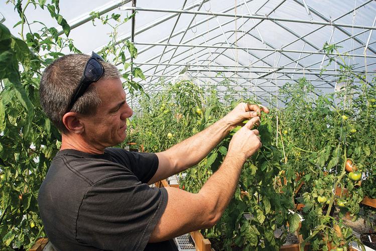 Farming growth in Alaska tops national average | Local News ...