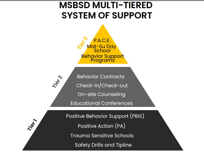 “It takes all of us adults.” MSBSD receives Keeping Schools Safe report ...