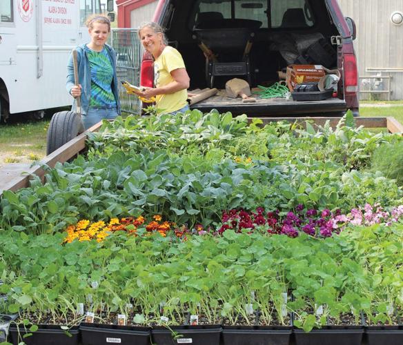 Edible Park takes shape in Palmer | Local News | frontiersman.com