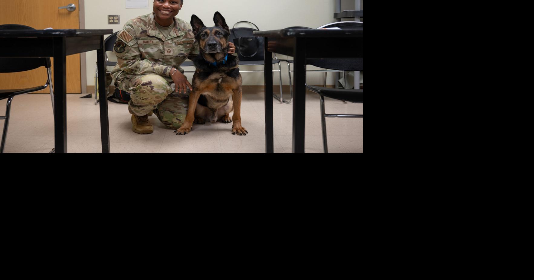 JBER holds K9 TCCC training for Eielson AFB | AK•MIL | frontiersman.com