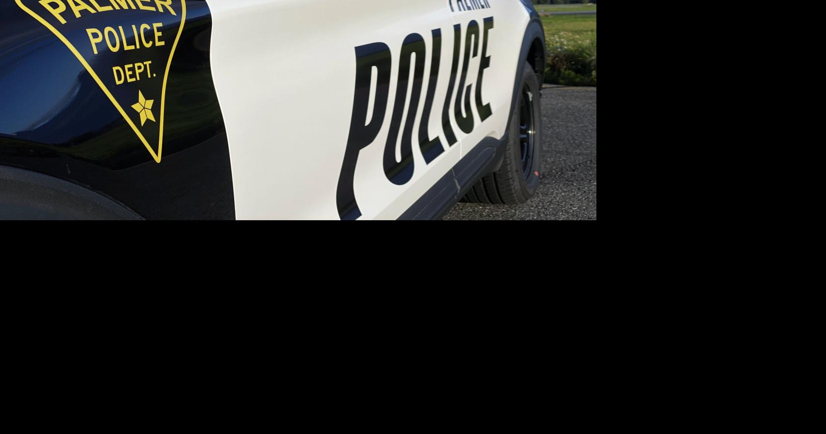 Mat-Su police blotter | Police Beat | frontiersman.com