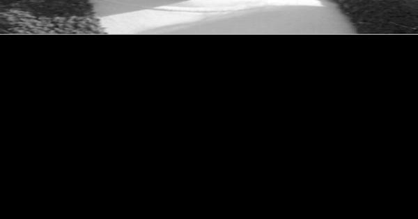 David Miles Alward | Obituaries | frontiersman.com