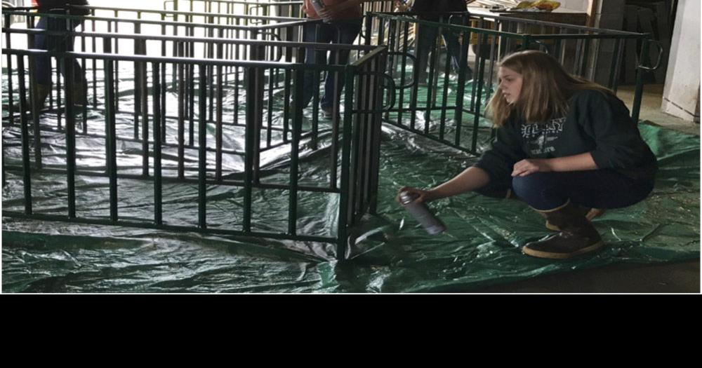 Painted pig walkers make world better | Valley Life | frontiersman.com