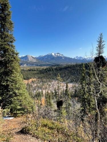 Jesse Sumner, Kenai’s Jesse Bjorkman propose new state program to ...