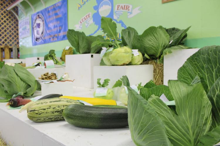 Alaskan agriculturists plow through weather challenges to enter in ...
