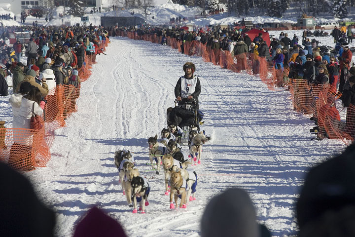 2012 Iditarod Trail Sled Dog Race | Featured | frontiersman.com