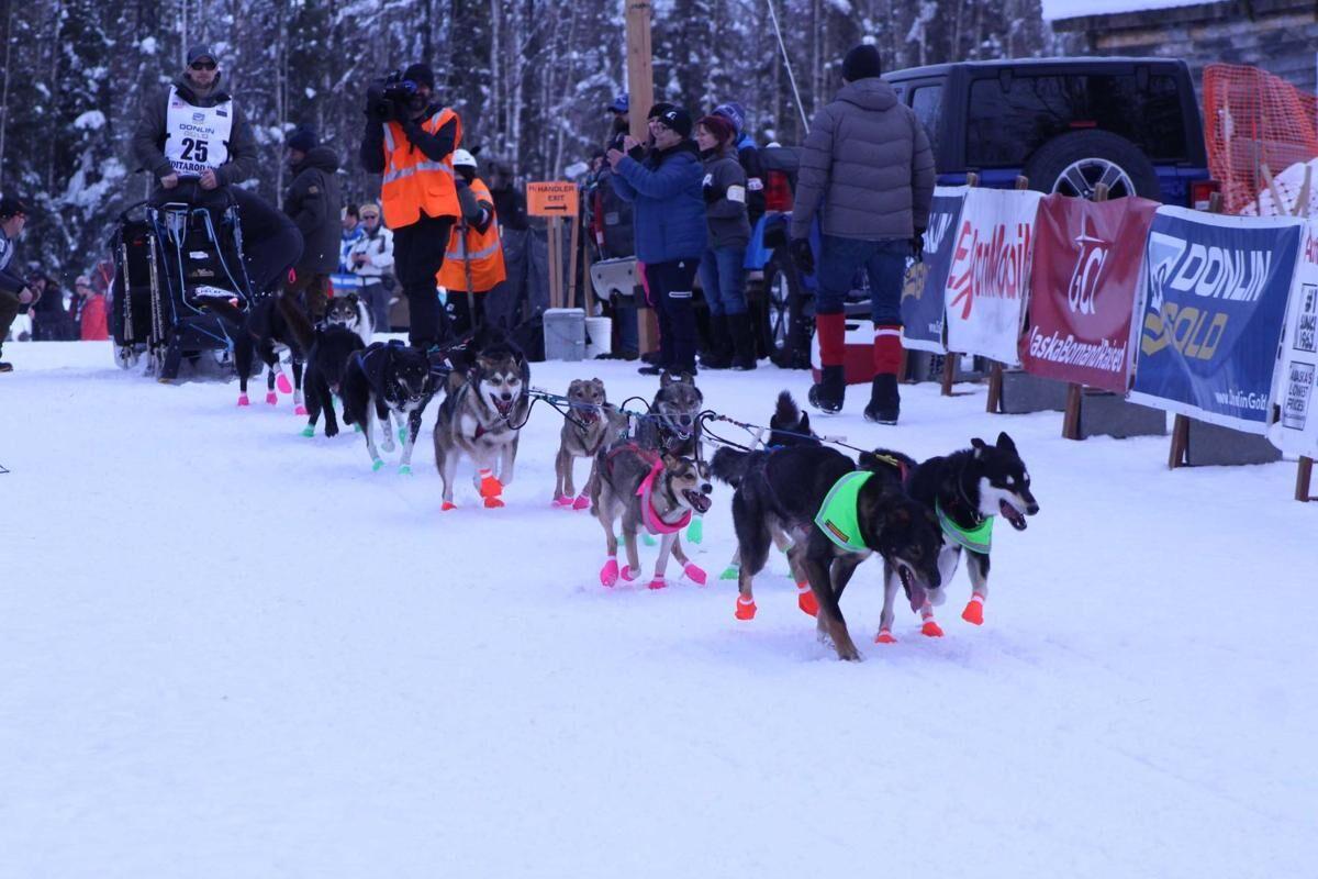 Iditarod announces 50th anniversary logo | Outdoors | frontiersman.com