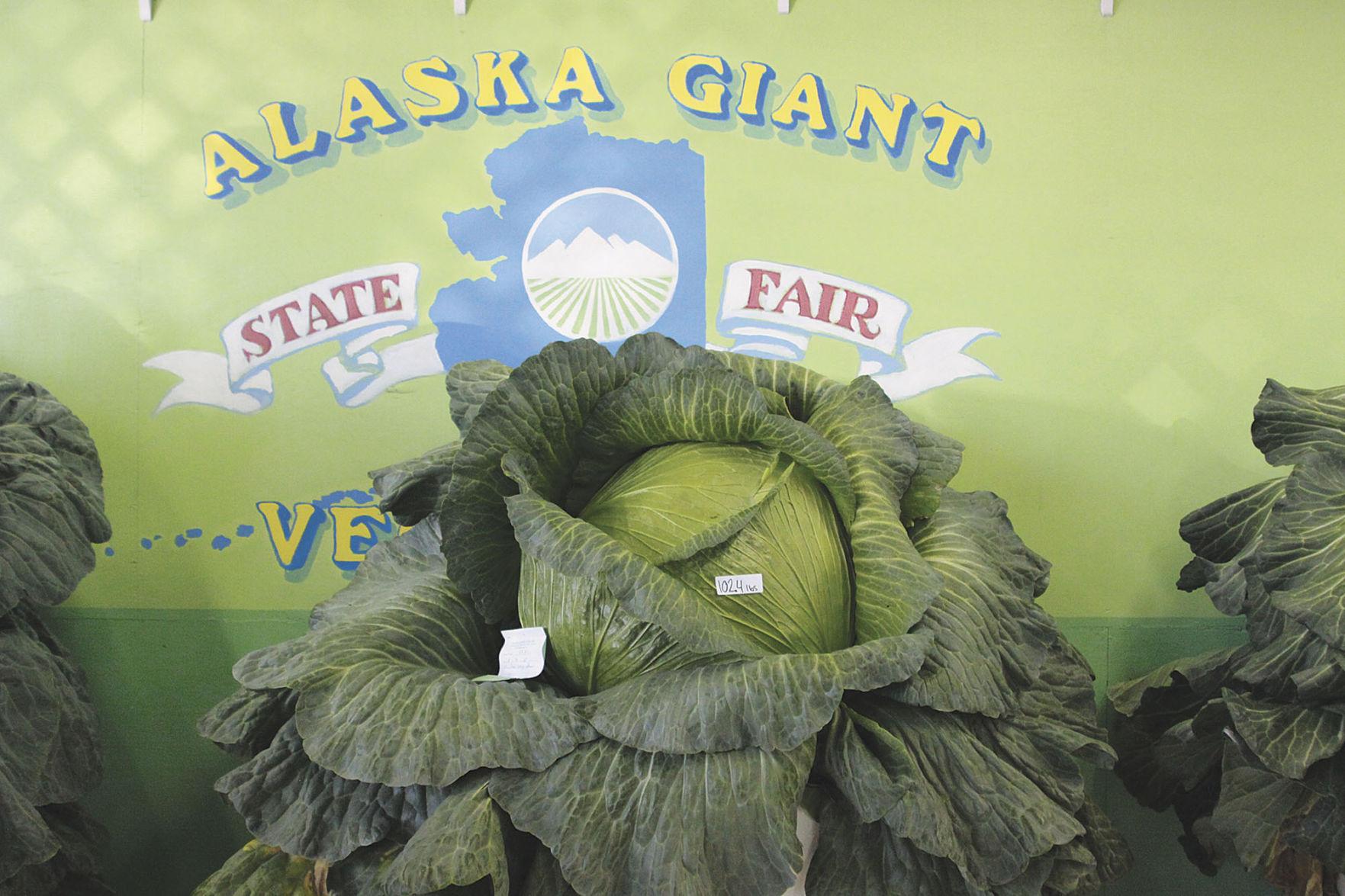 Alaska State Fair kicks off Thursday | Local News | frontiersman.com