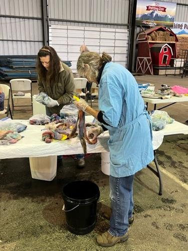 Festival celebrates all things fiber | Local News | frontiersman.com