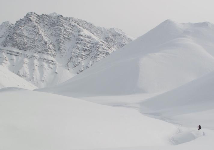 Snow is the state of Alaska | | frontiersman.com