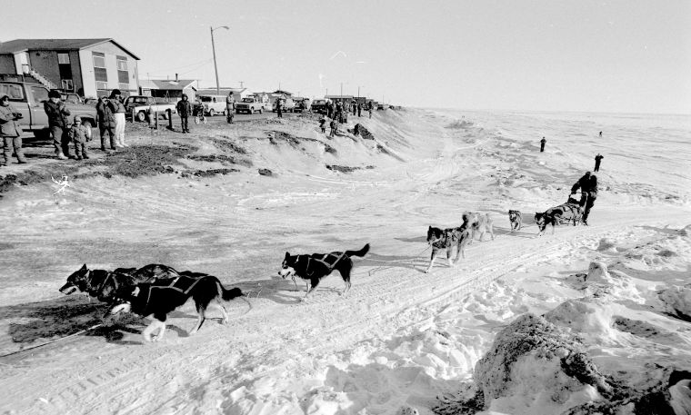 Historic Iditarod trail Sled Dog Race Photos | Featured | frontiersman.com