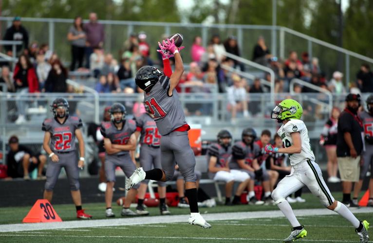 Hawks fly by rival, Moose win, Knights fall | Local Sports ...