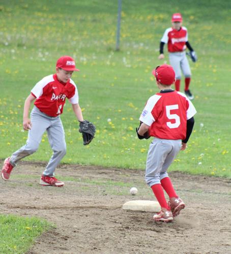 Diamond days; Palmer serves as baseball capitol of Alaska for a weekend ...
