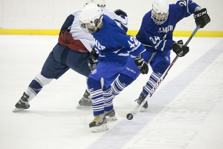 North Star Conference Hockey Championships | Sports | frontiersman.com