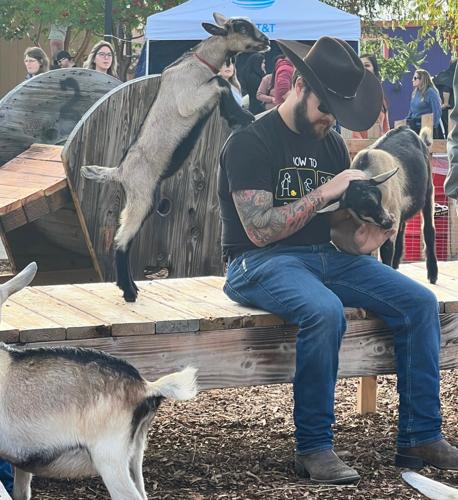 Whatever floats your goat-Goat-a-Palooza gives visitors cuteness ...