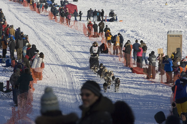 2012 Iditarod Trail Sled Dog Race | Featured | frontiersman.com