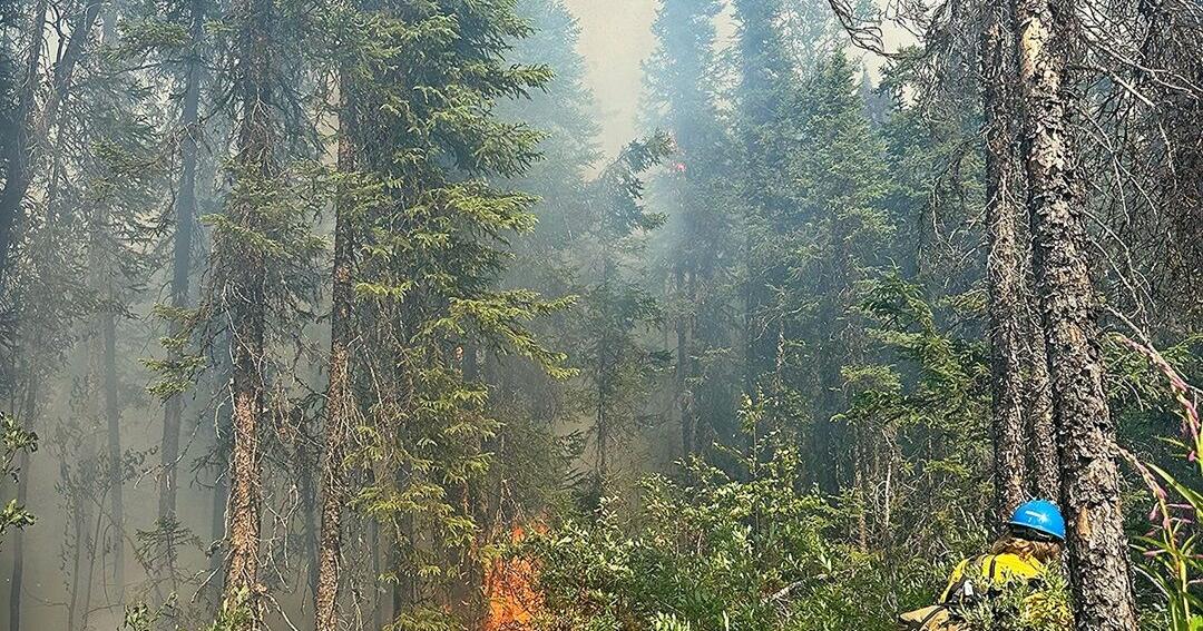 Crews continue to contain Montana Creek, Denali area fires | Local News ...