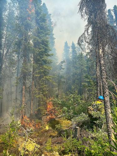 Crews continue to contain Montana Creek, Denali area fires | Local News ...