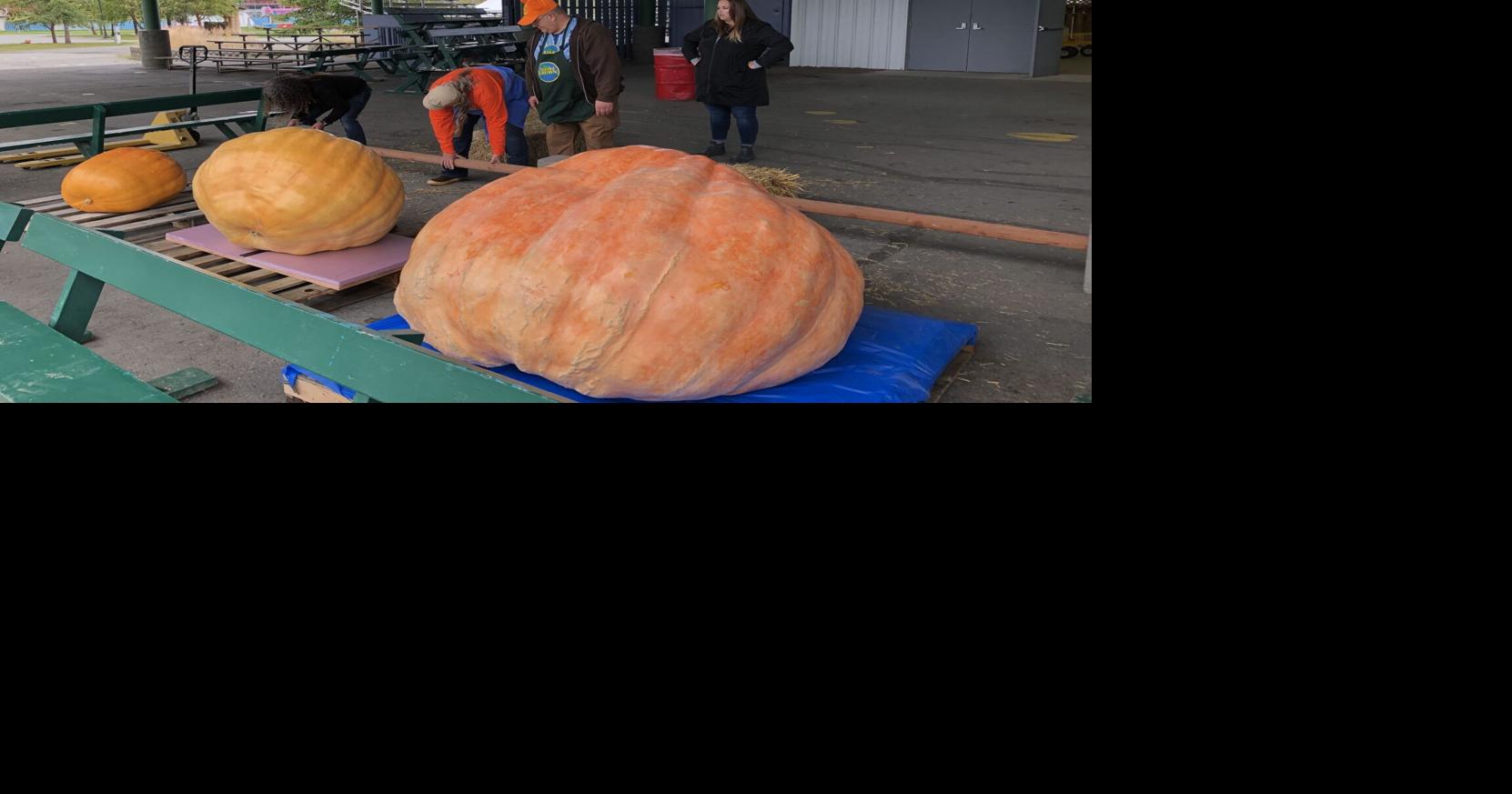 Alaska State Fair staff and volunteers host annual giant vegetable ...