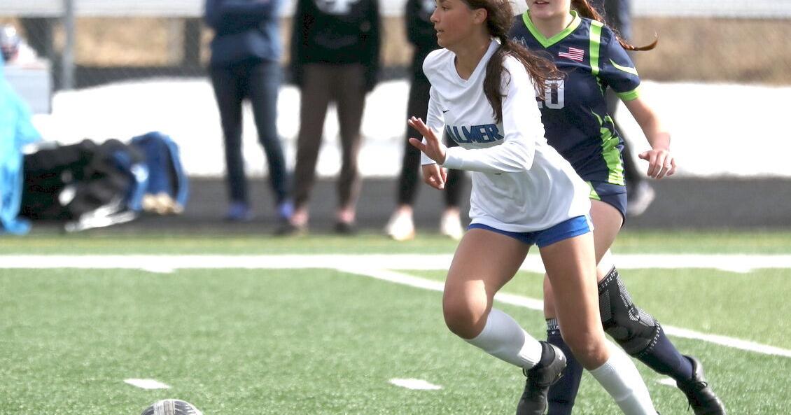 Valley Division II soccer coaches excited about the potential for ...