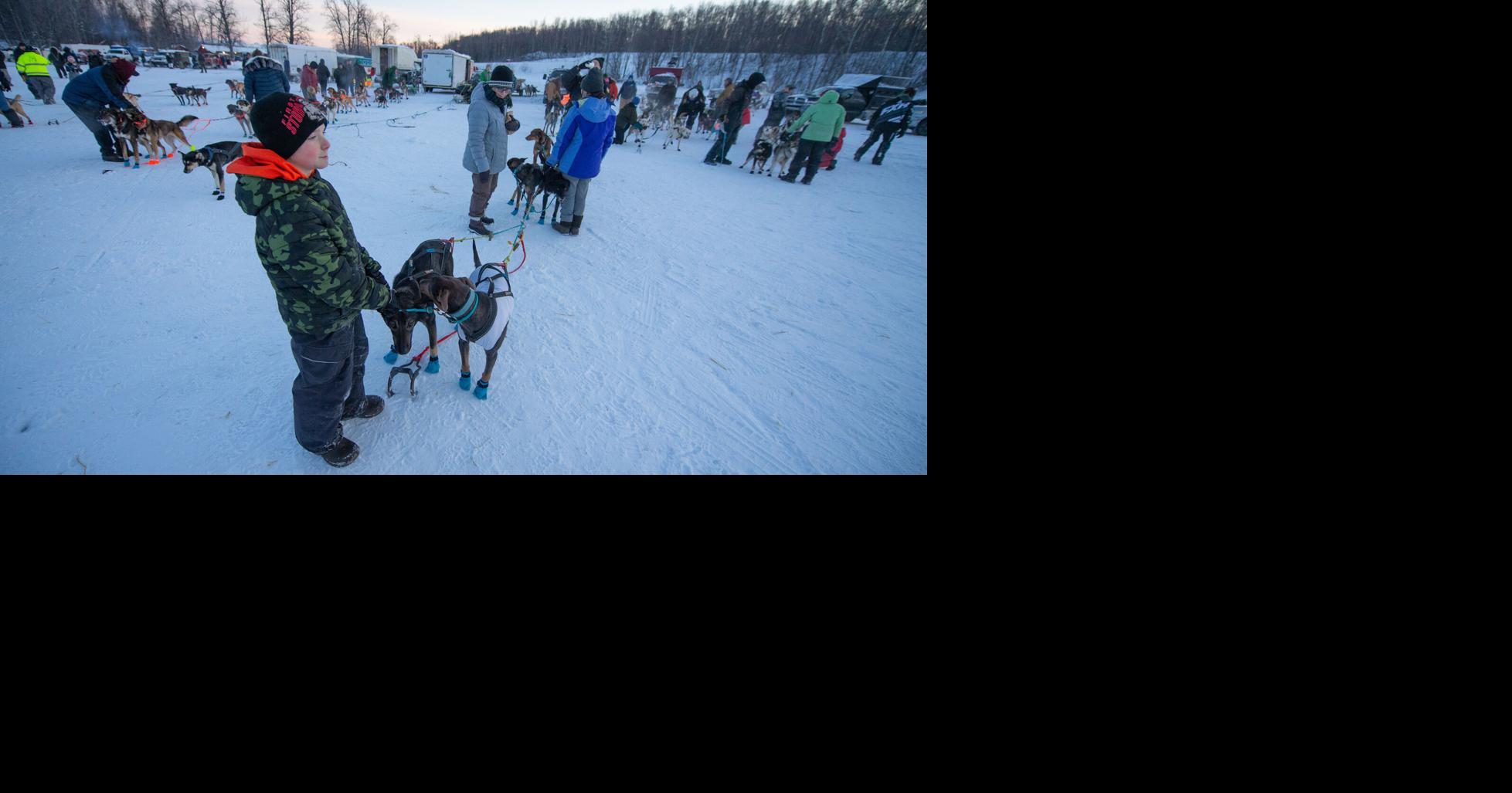 Knik 200 draws large participation; 16-year-old musher crowned champion | Local Sports ...