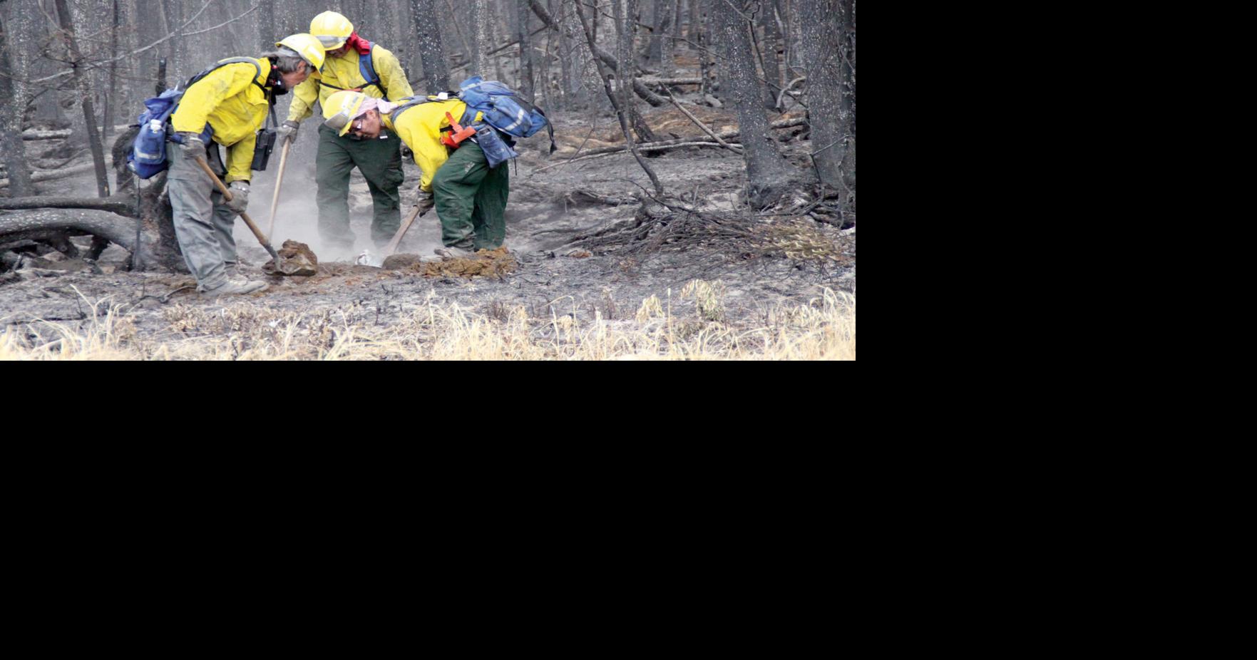 Sockeye fire recovery begins | Gallery | frontiersman.com