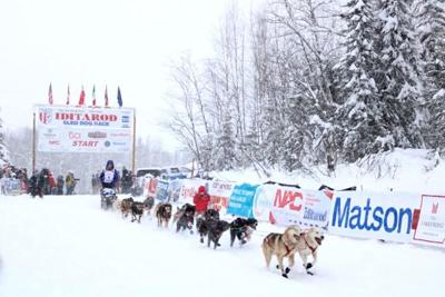 Iditarod announces updated COVID-19 Vaccine Policy for 2023 race ...