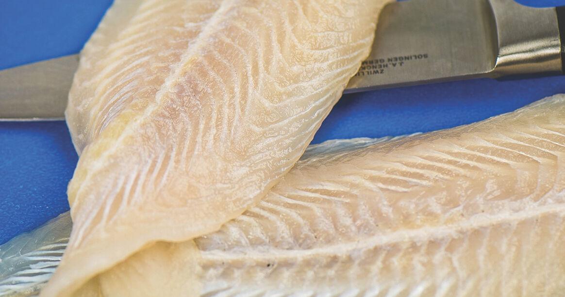 The nutritional value of popular types of fish | | frontiersman.com