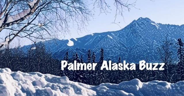 Unidentified Objects in Palmer Sky | Arts & Entertainment ...