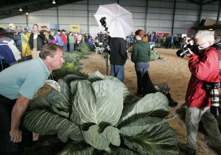 Giant heads, but no world record | Local News Stories | frontiersman.com