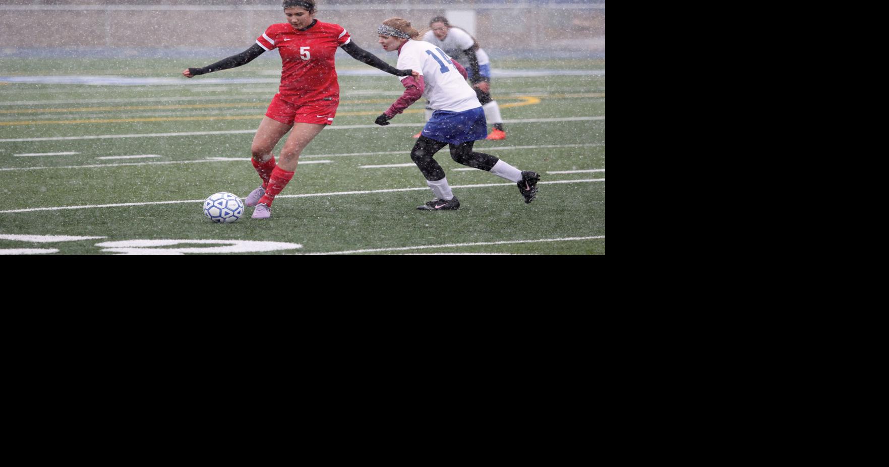 Warriors sweep Moose; Knights beat Palmer | Local Sports | frontiersman.com