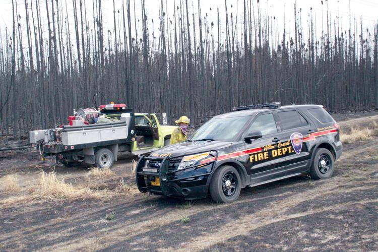 Sockeye fire recovery begins | Gallery | frontiersman.com