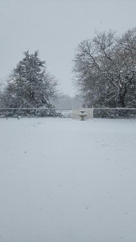 PHOTOS: Cooke County takes a snow day | Gallery | gainesvilleregister.com