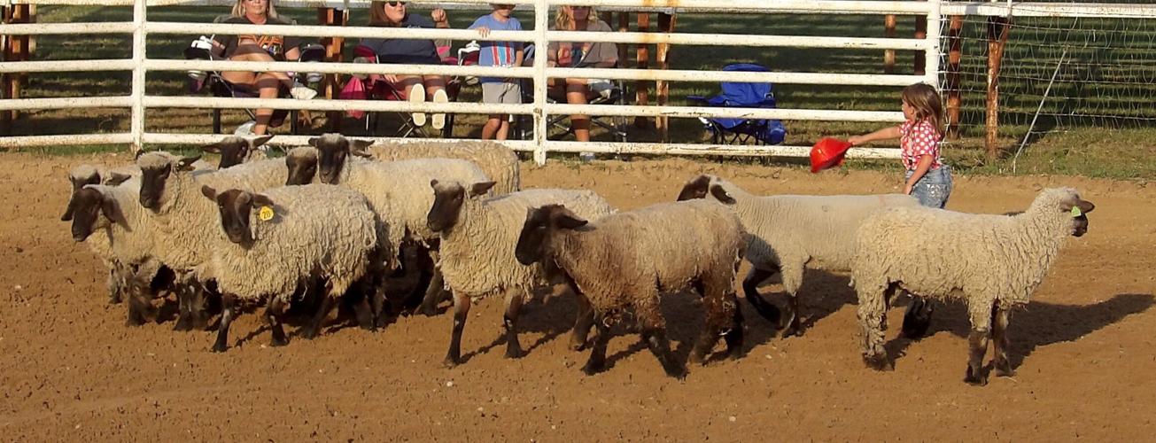 Rodeo 2024 | Gallery | gainesvilleregister.com