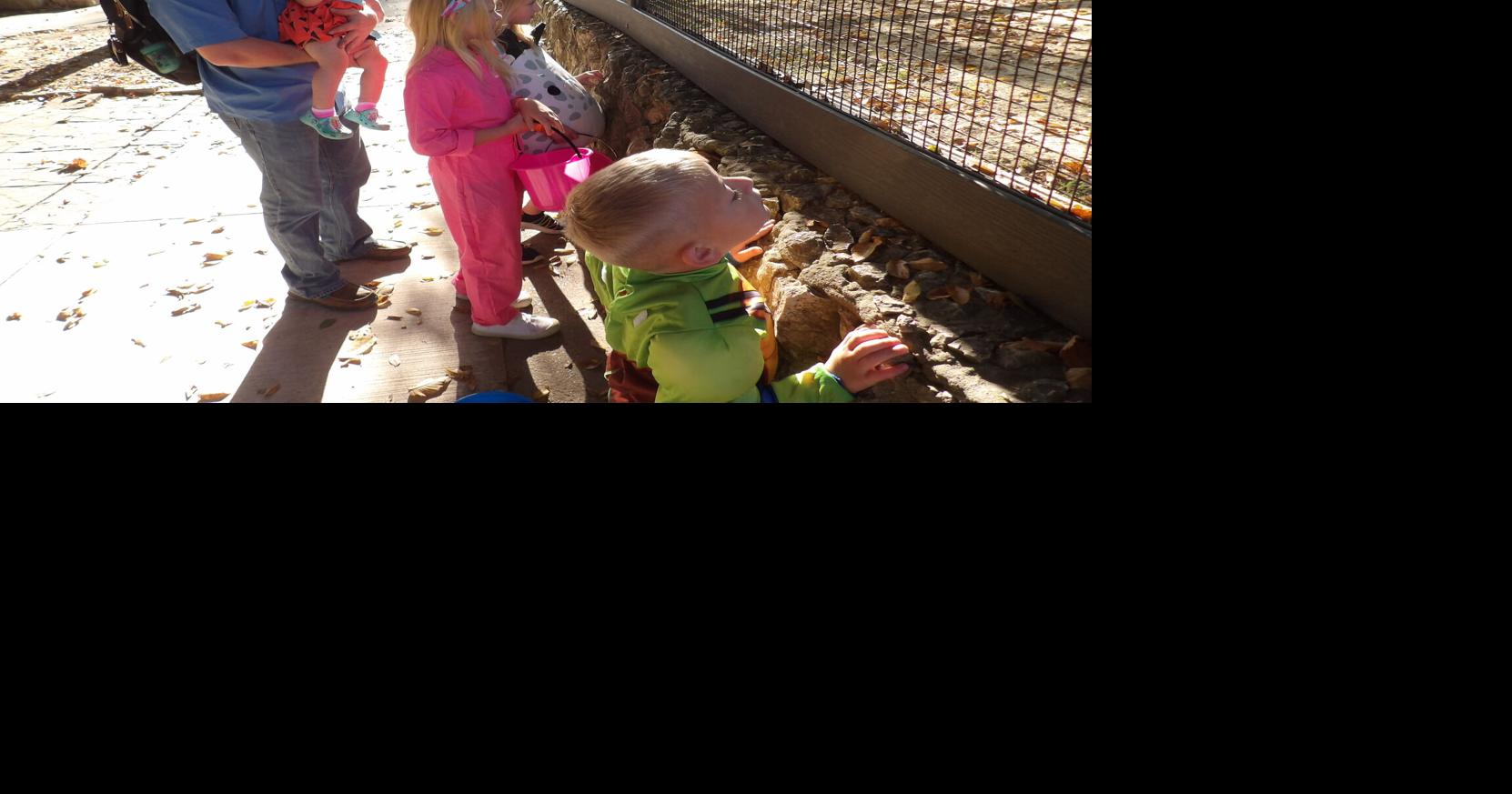 FBZ Costume Strut | Gallery | gainesvilleregister.com