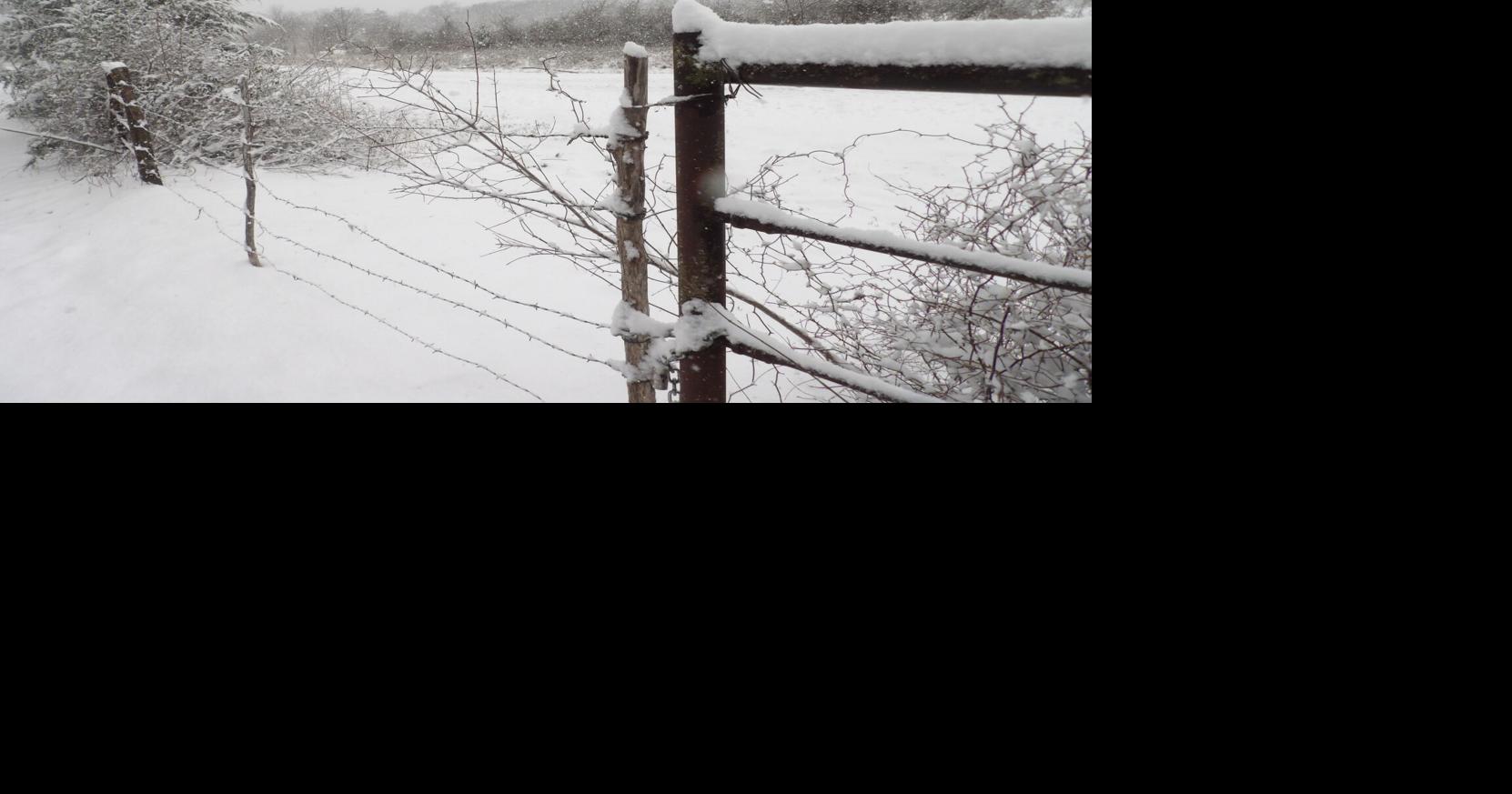 Snow Pics | Gallery | gainesvilleregister.com