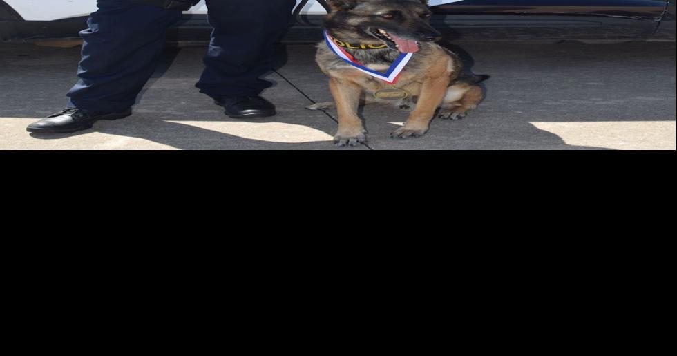 Gainesville PD K9 unit gets certified | News | gainesvilleregister.com