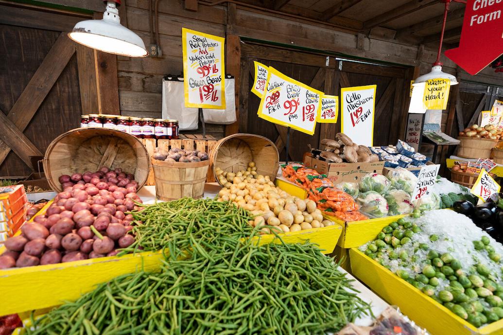 Texas A&M AgriLife study reveals why food waste rises, falls as incomes ...
