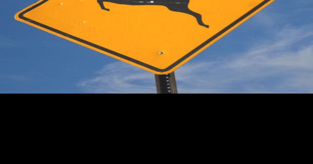 It's Rudolph by a nose: Mysterious elf alters deer crossing signs ...