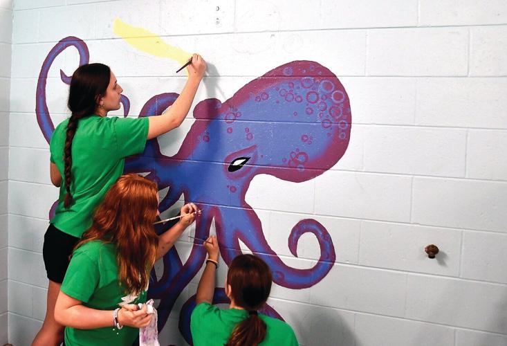 Students help create new Galena pool murals | Local News ...